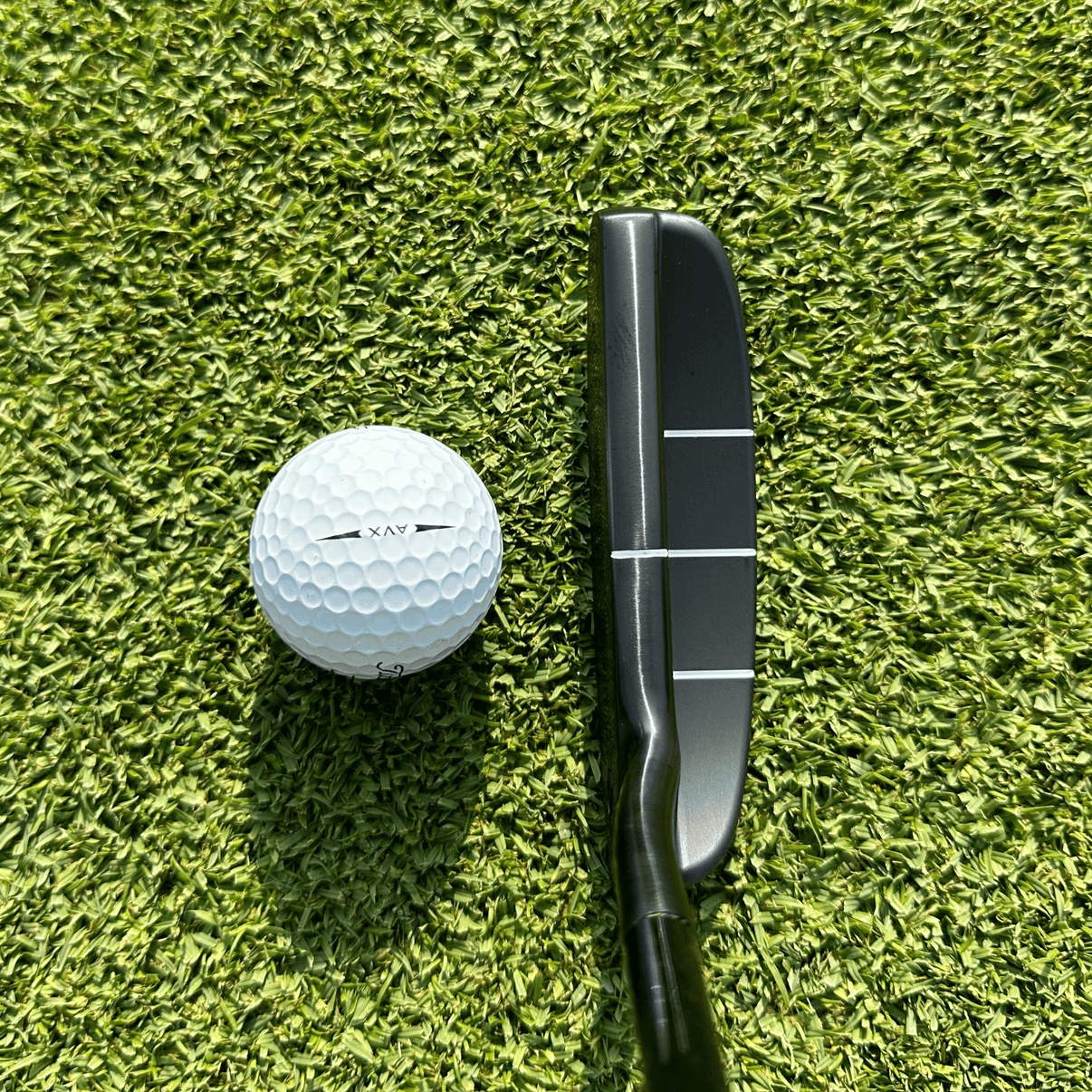 Bird Dog Putter 3.0 – Waddaplaya Golf