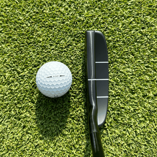 Bird Dog Putter 3.0 – Waddaplaya Golf