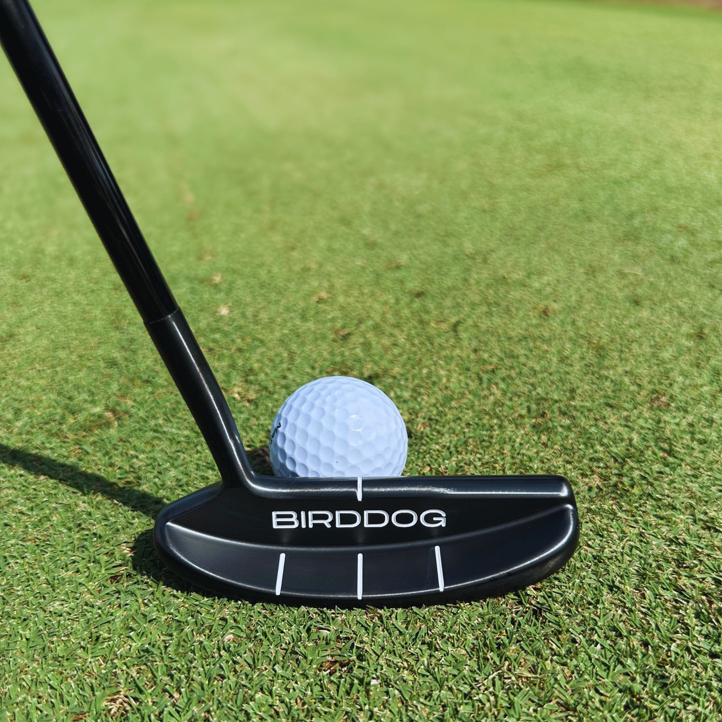 Bird Dog Putter 3.0 – Waddaplaya Golf