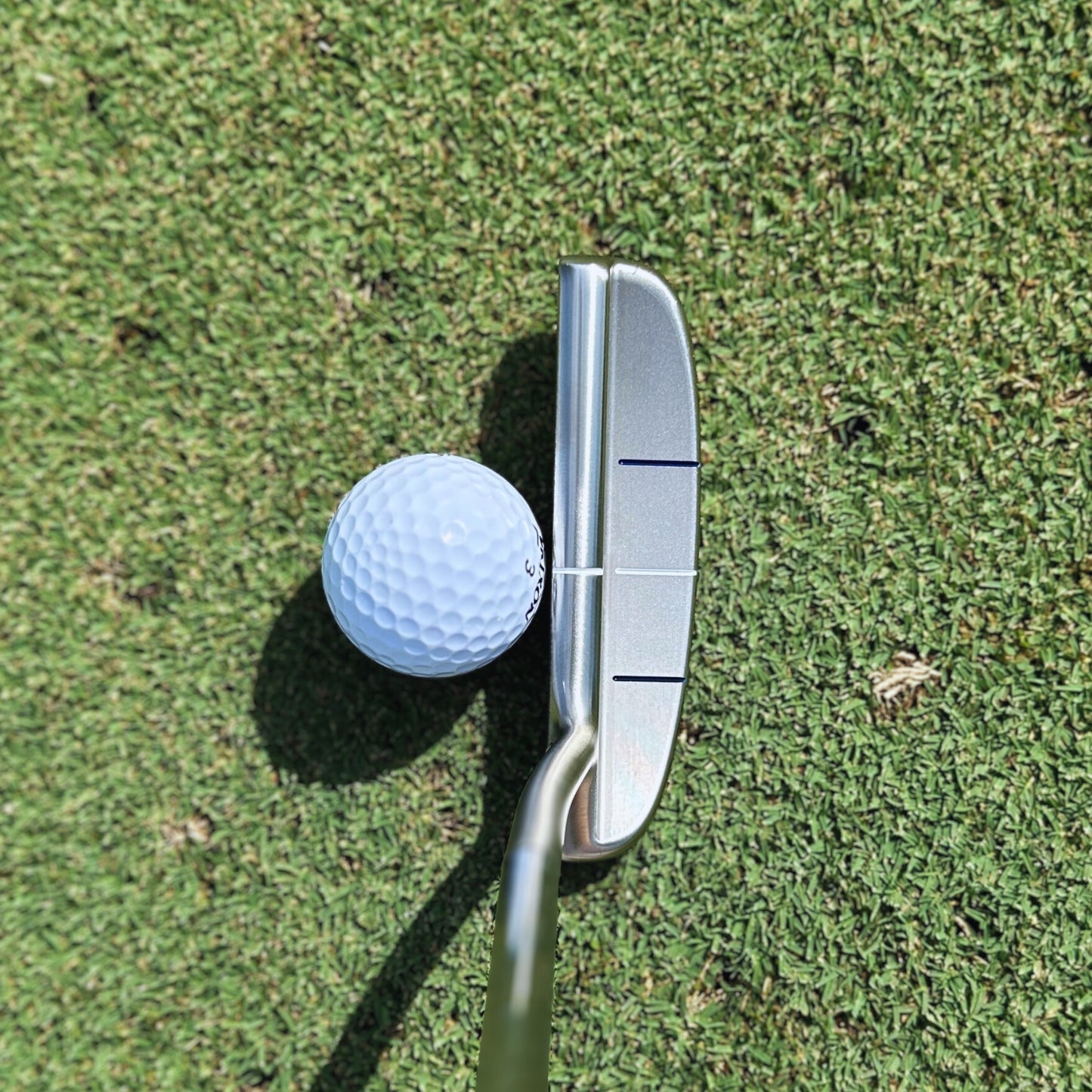 Bird Dog Putter 3.0 – Waddaplaya Golf