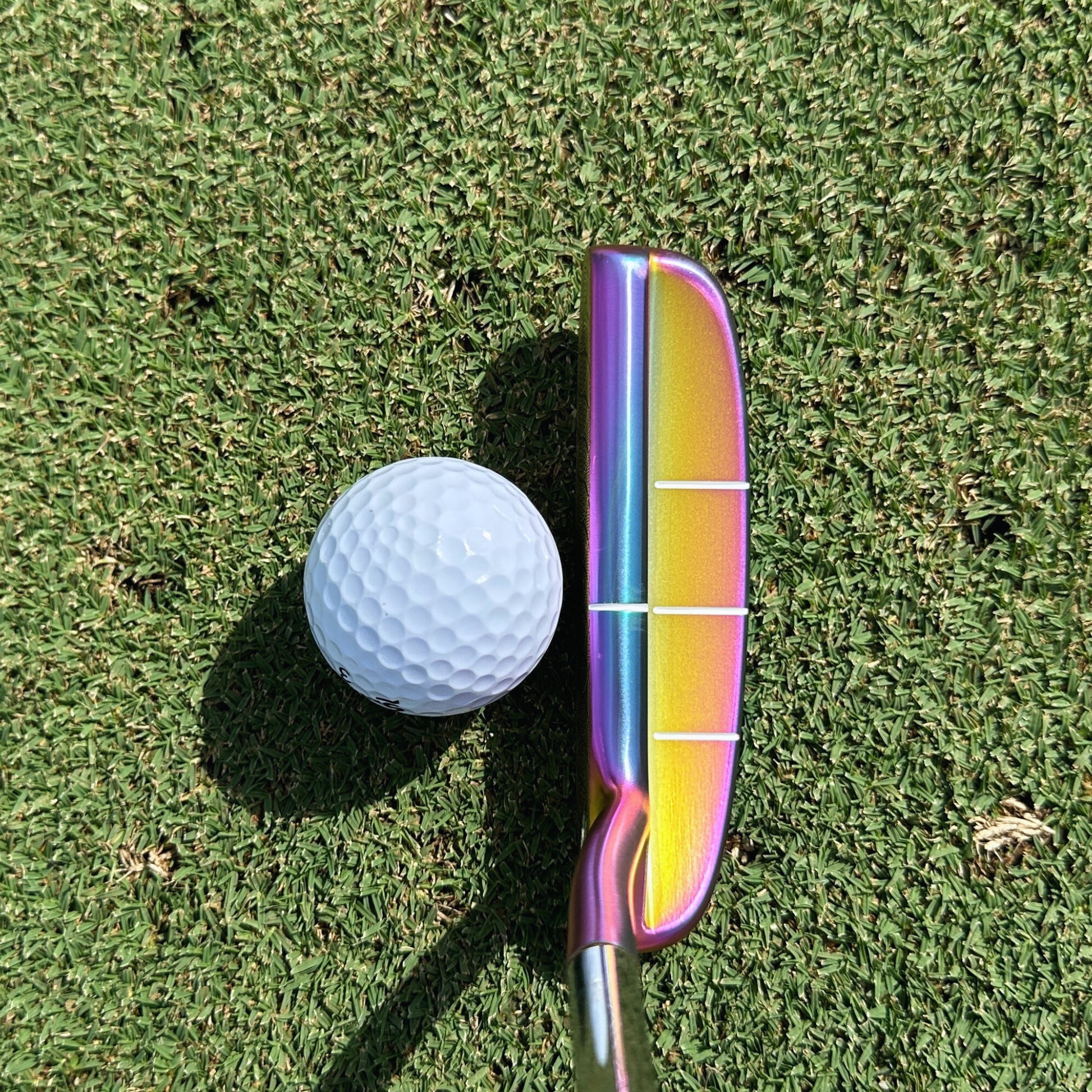 Bird Dog Putter 3.0 – Waddaplaya Golf